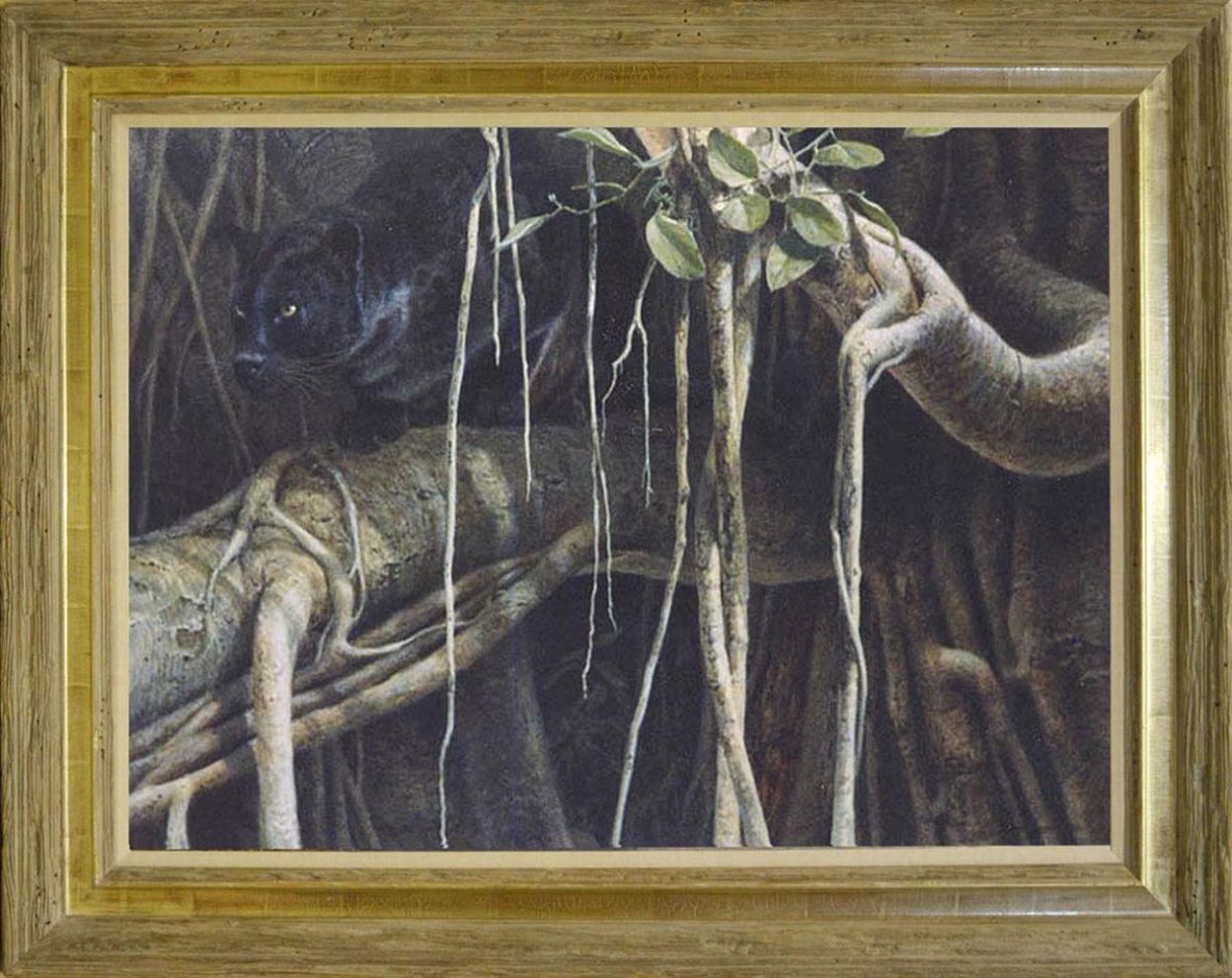 John Seerey-Lester - Picture This Framing & Gallery