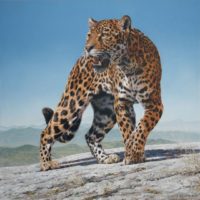 The Art of Guy Combes | Picture This Gallery | Edmonton Region ...