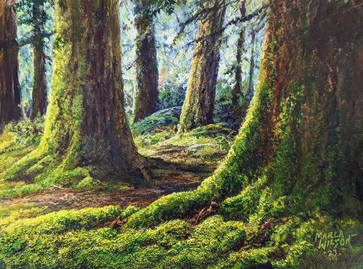Deep in the Forest - Picture This Framing & Gallery