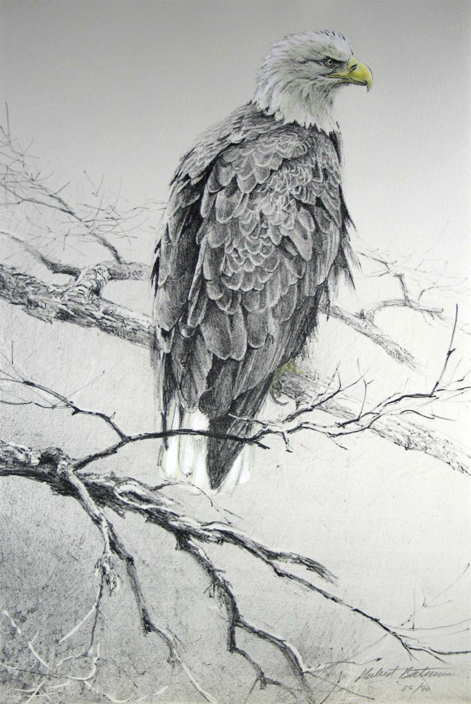 Robert Bateman Original Art | Picture This! framing & gallery