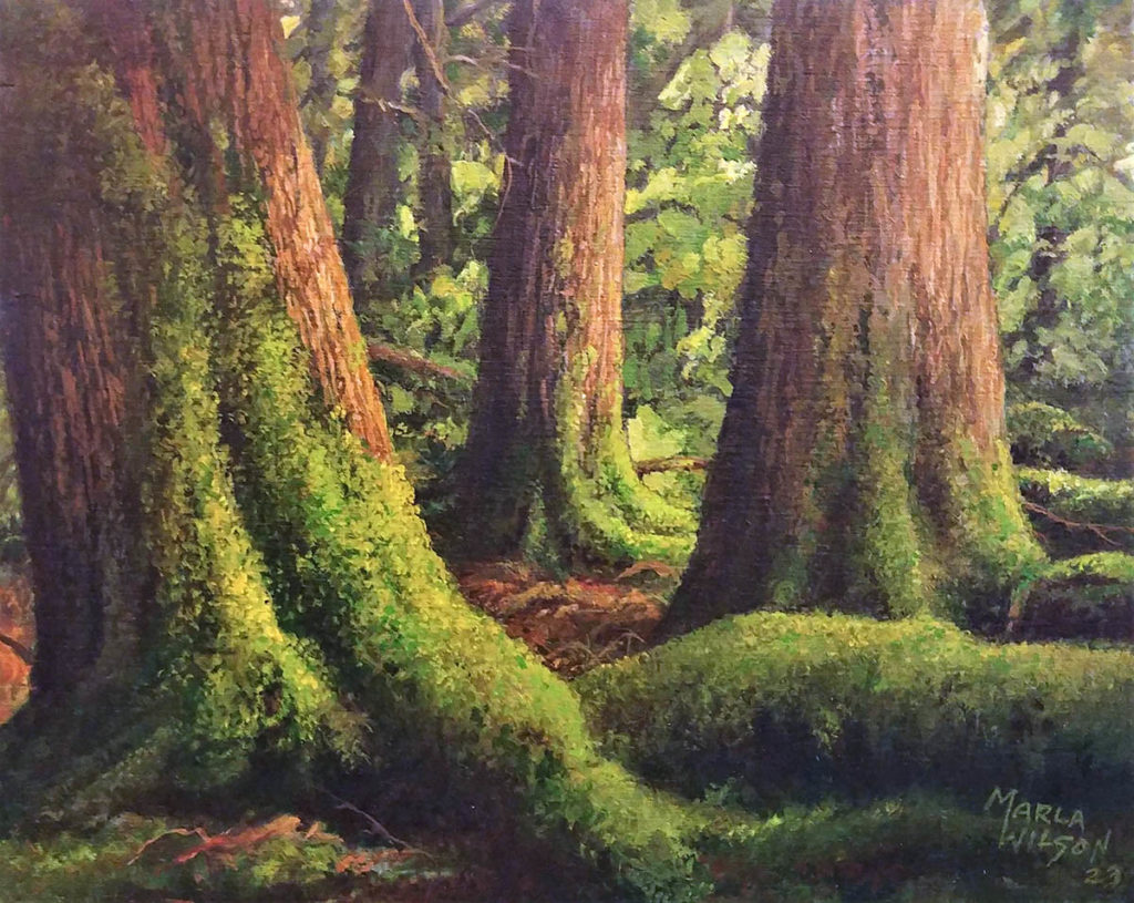 Marla Wilson - Picture This Framing & Gallery