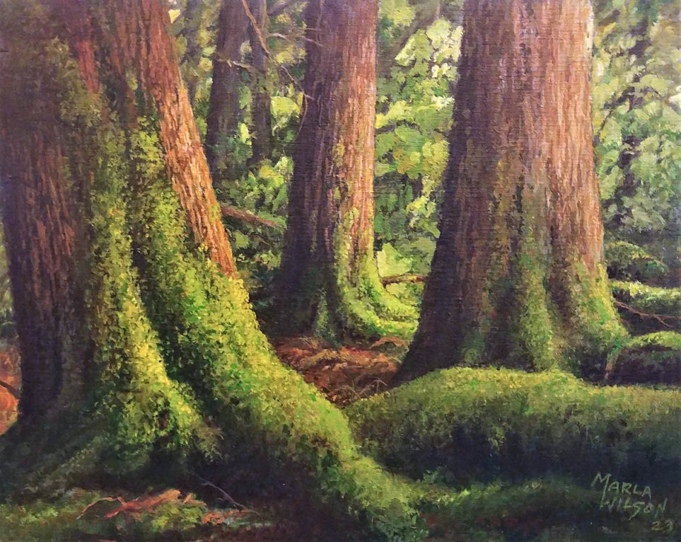 Marla Wilson - Picture This Framing & Gallery