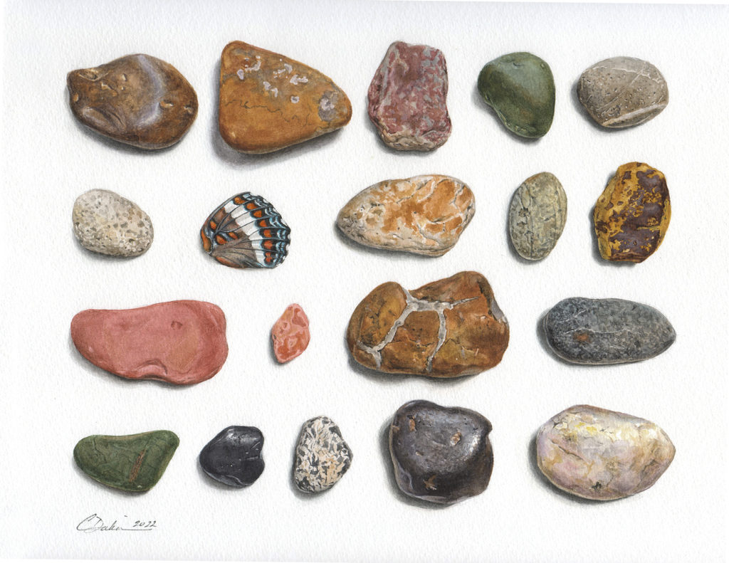 The Art of Charity Dakin | Picture This Gallery | Edmonton Region ...