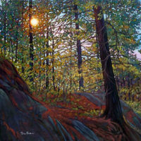 The Art of Tim Packer | Picture This Gallery | Edmonton Region ...