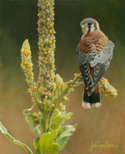 The Art of John Mullane | Picture This! framing & gallery