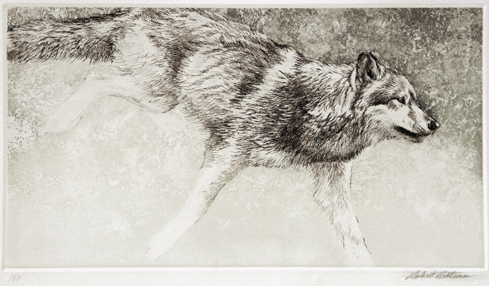 The Art of Robert Bateman | Picture This Gallery | Edmonton Region ...