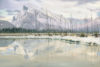 Art Gallery | Original Paintings & Limited Edition Prints | Edmonton ...