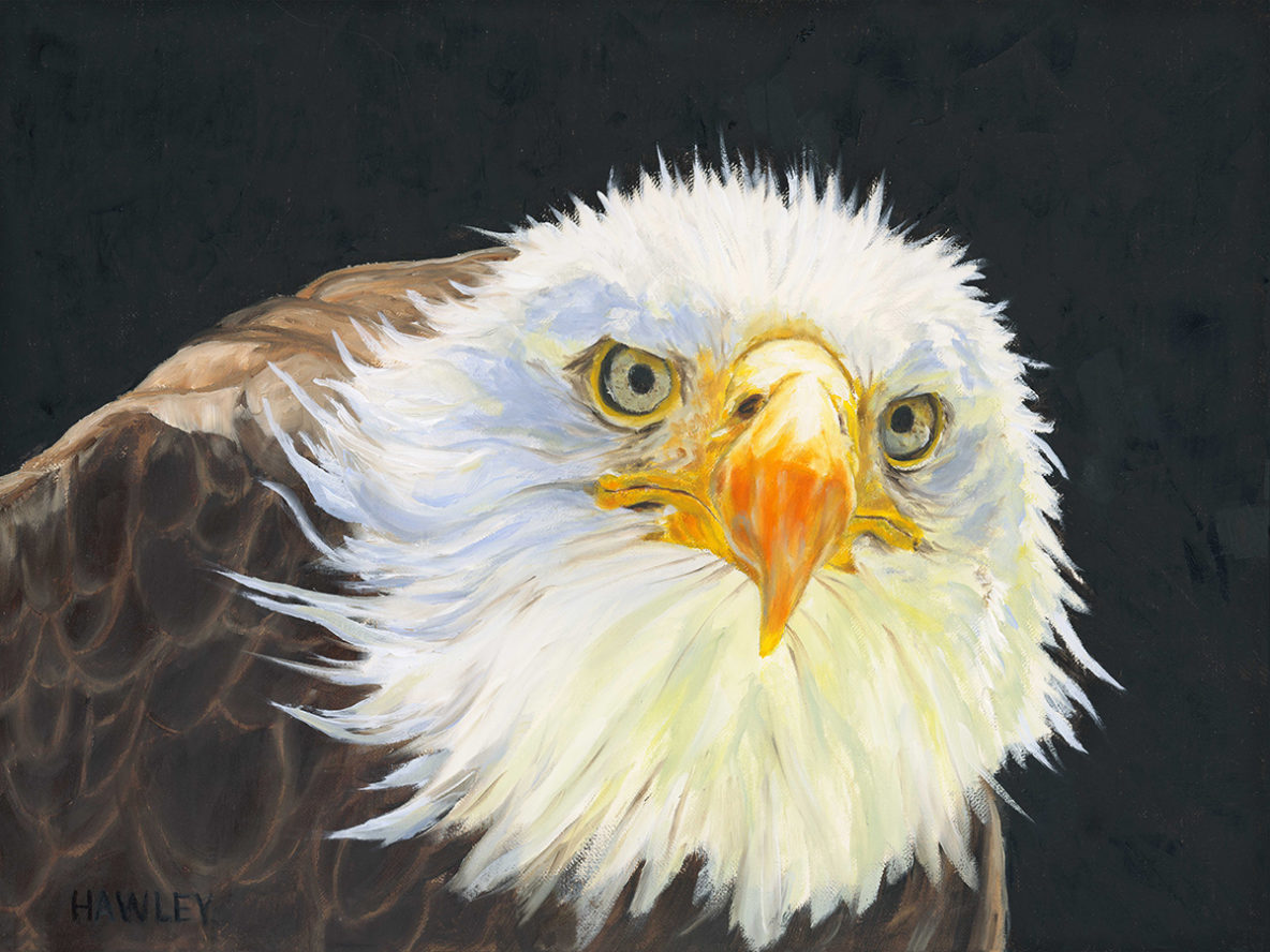 Art Gallery | Original Paintings & Limited Edition Prints | Edmonton ...