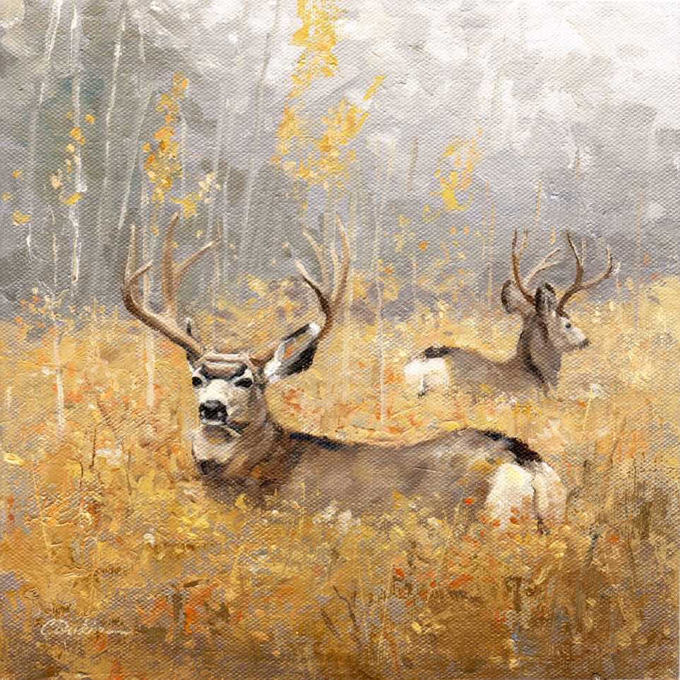 Peace Valley Mule Deer - Picture This Framing & Gallery