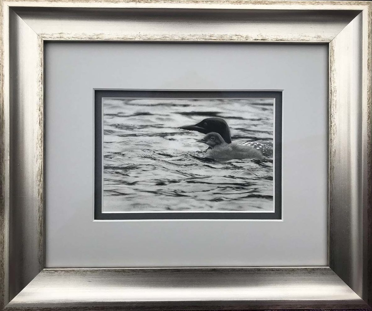 Grizzly - Picture This Framing & Gallery