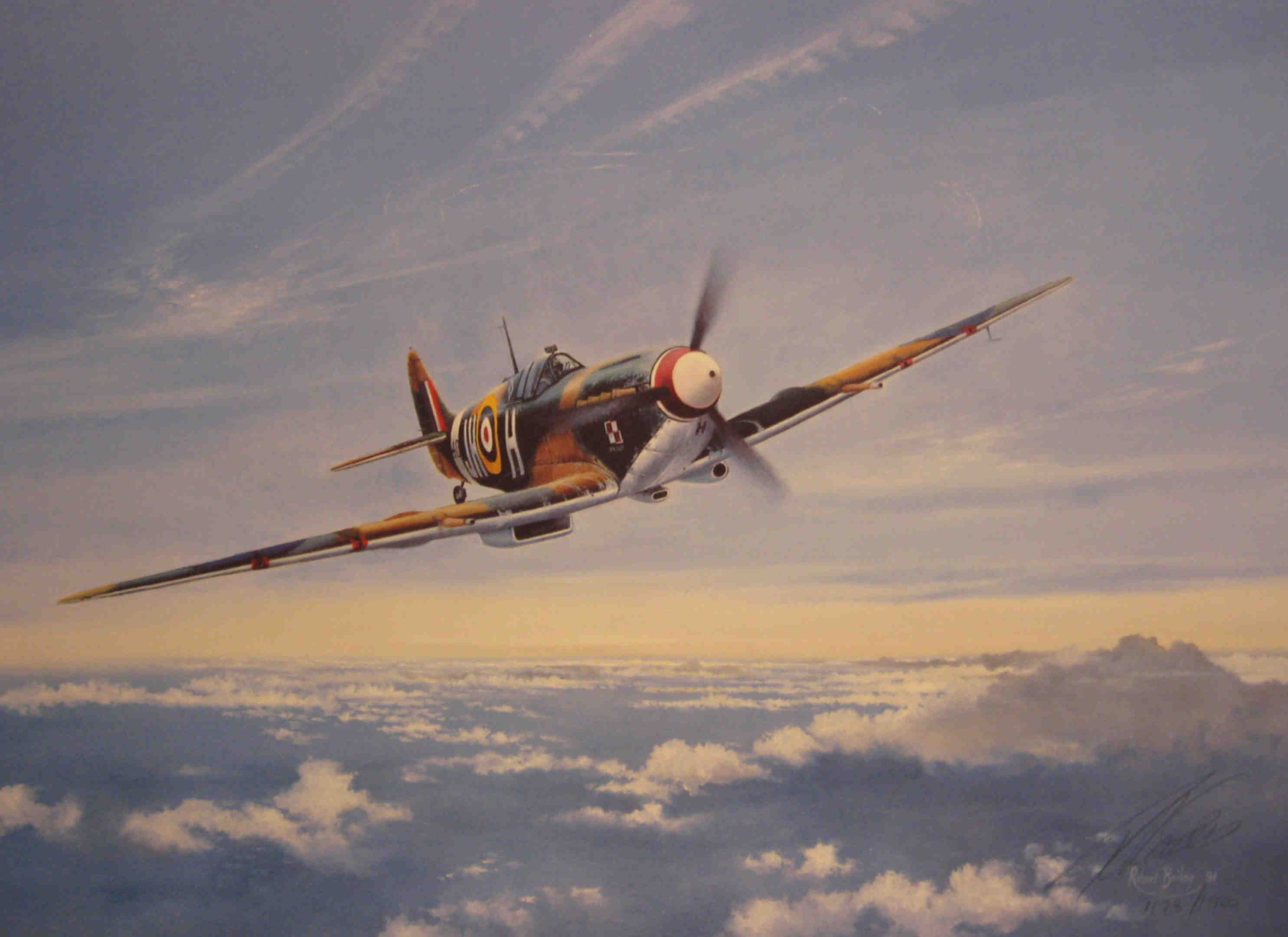 Spitfire VB - Picture This Framing & Gallery