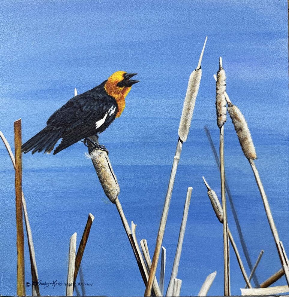 The Art of Cindy Sorley-Keichinger | Picture This Gallery | Edmonton ...