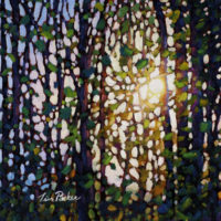 The Art of Tim Packer | Picture This Gallery | Edmonton Region ...