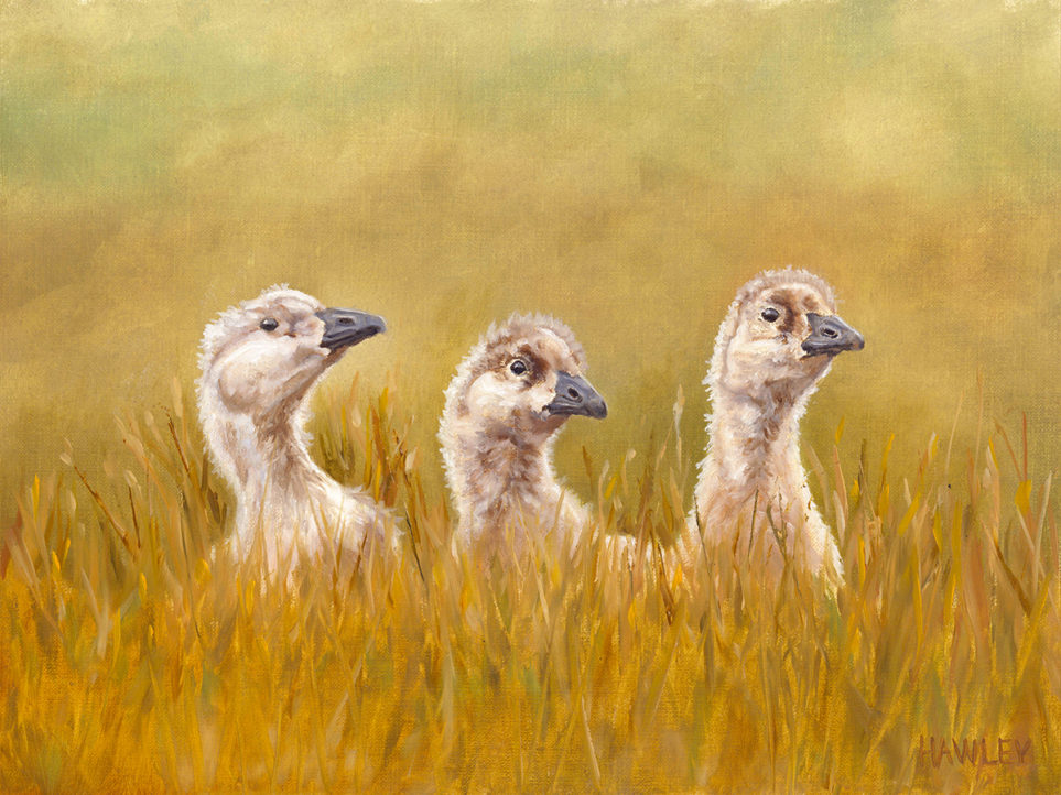 Art Gallery | Original Paintings & Limited Edition Prints | Edmonton ...