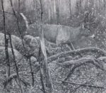 Ryan Jacque Archives - Picture This! framing & gallery