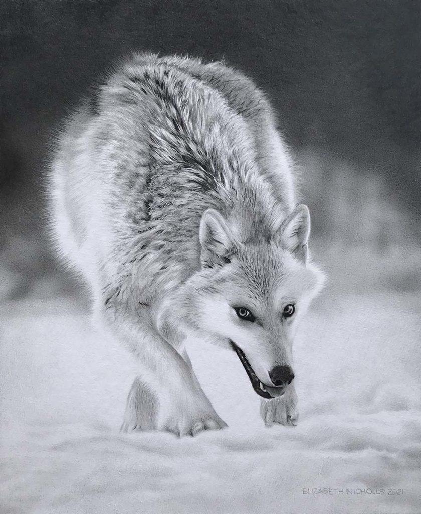 Double Trouble - Picture This Framing & Gallery