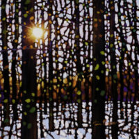 The Art of Tim Packer | Picture This Gallery | Edmonton Region ...